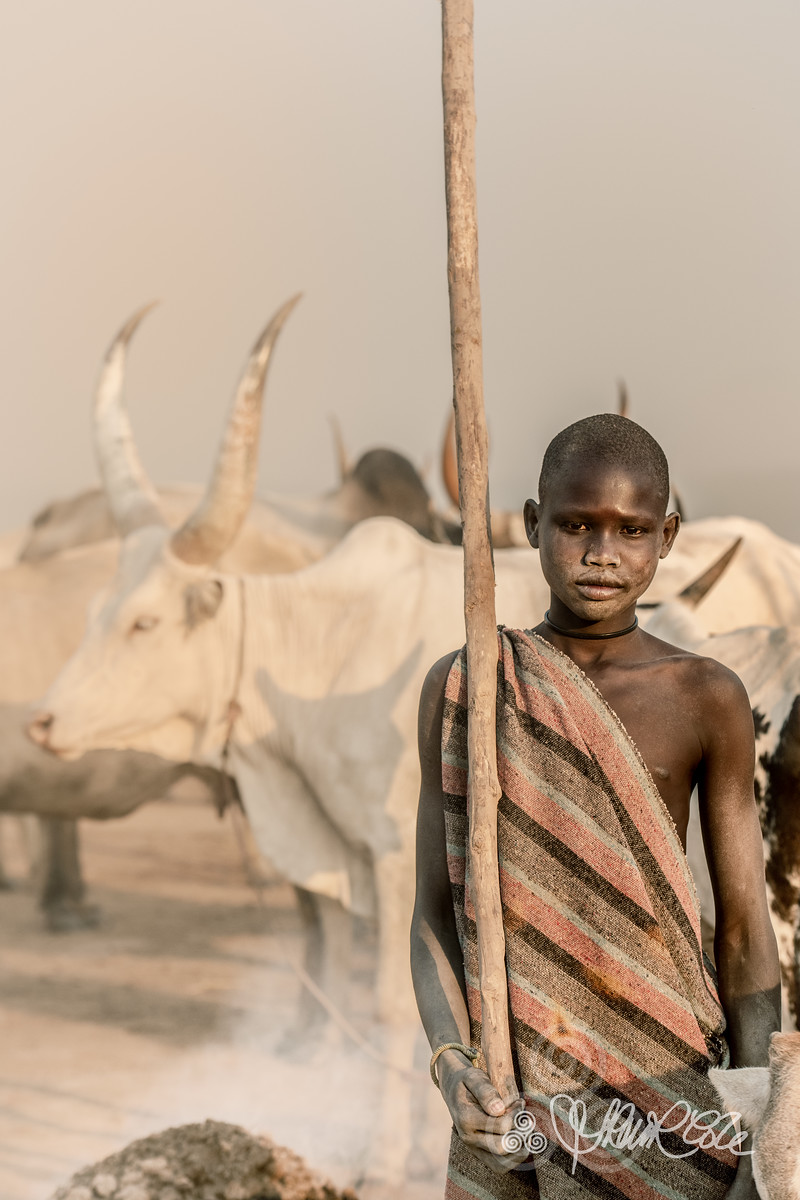 Herding the Ankoli Watusi – Yii a Mundari